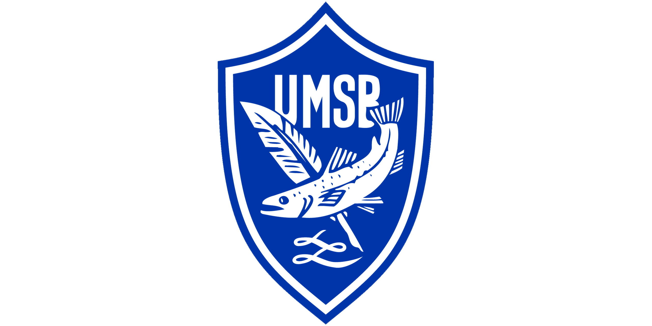 Sambandsþing UMSB 2020 - Ungmennasamband Borgarfjarðar